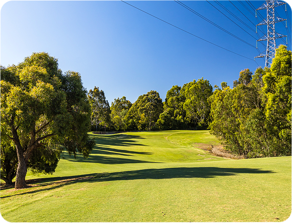 Golf Business Consultancy by GreenSpace Management